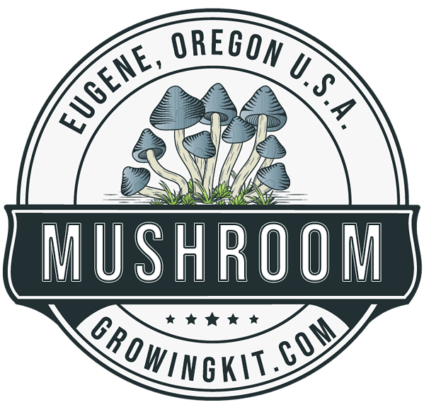 Why Are Mushrooms Important To The Food Chain?