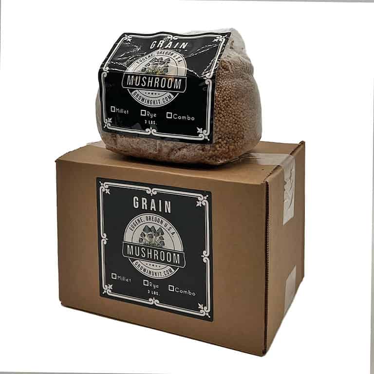 Bulk Millet Grain Bags for Growing Mushrooms | Buy Bulk Grain
