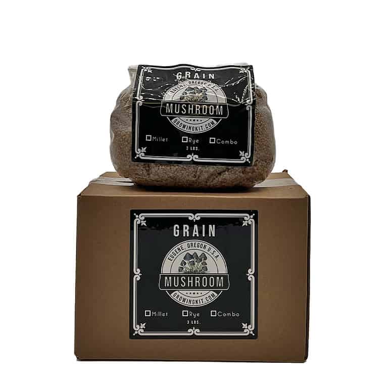 Bulk Millet Grain Bags for Growing Mushrooms | Buy Bulk Grain