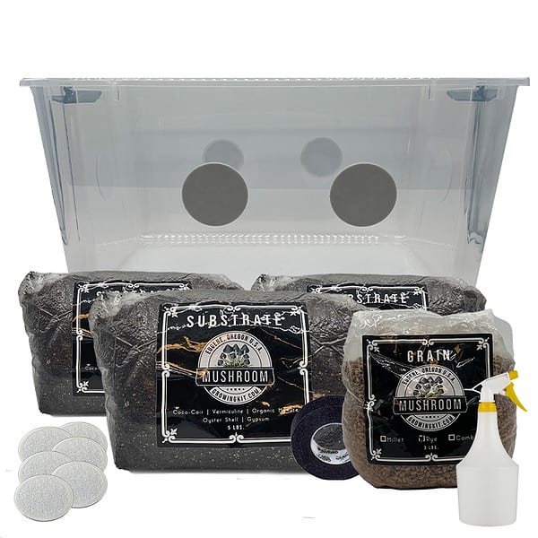 Mushroom Growing Kit | Grow Bags, Cultures & Substrates