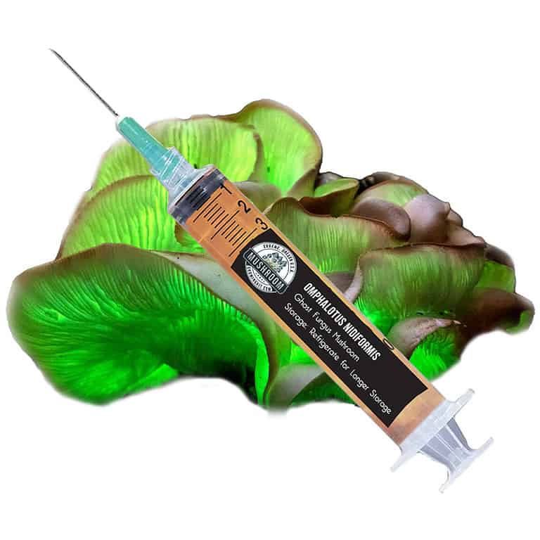 Ghost Fungus Mushroom Liquid Culture Syringe | Bioluminescent