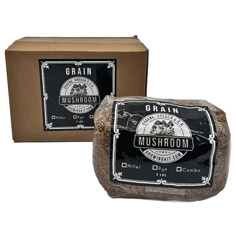 Bulk Millet Grain Bags for Growing Mushrooms | Buy Bulk Grain