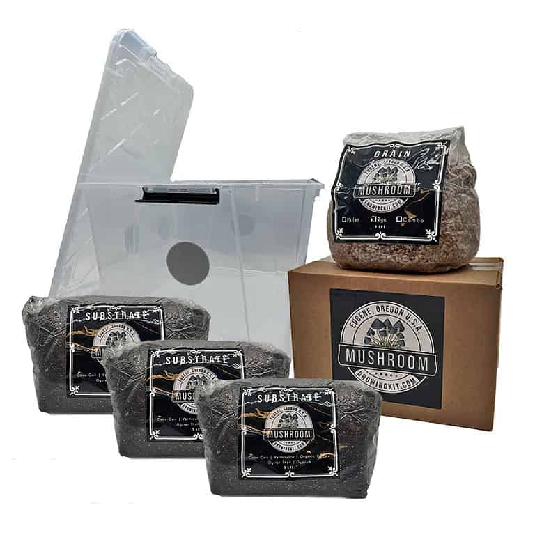 Mushroom Monotub | Mushroom Growing Kits & Supplies