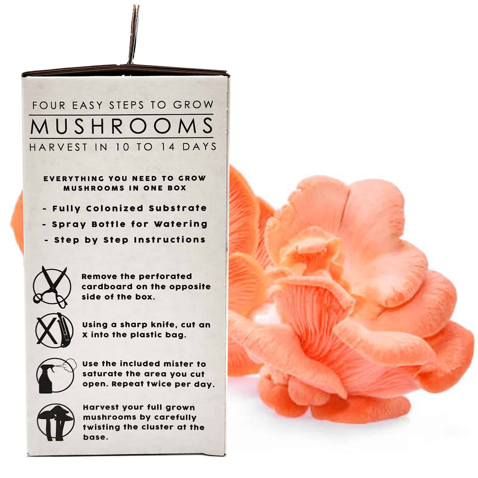 Pink Oyster Mushroom Growing Kit | Easy Use High Yield Grow Kit