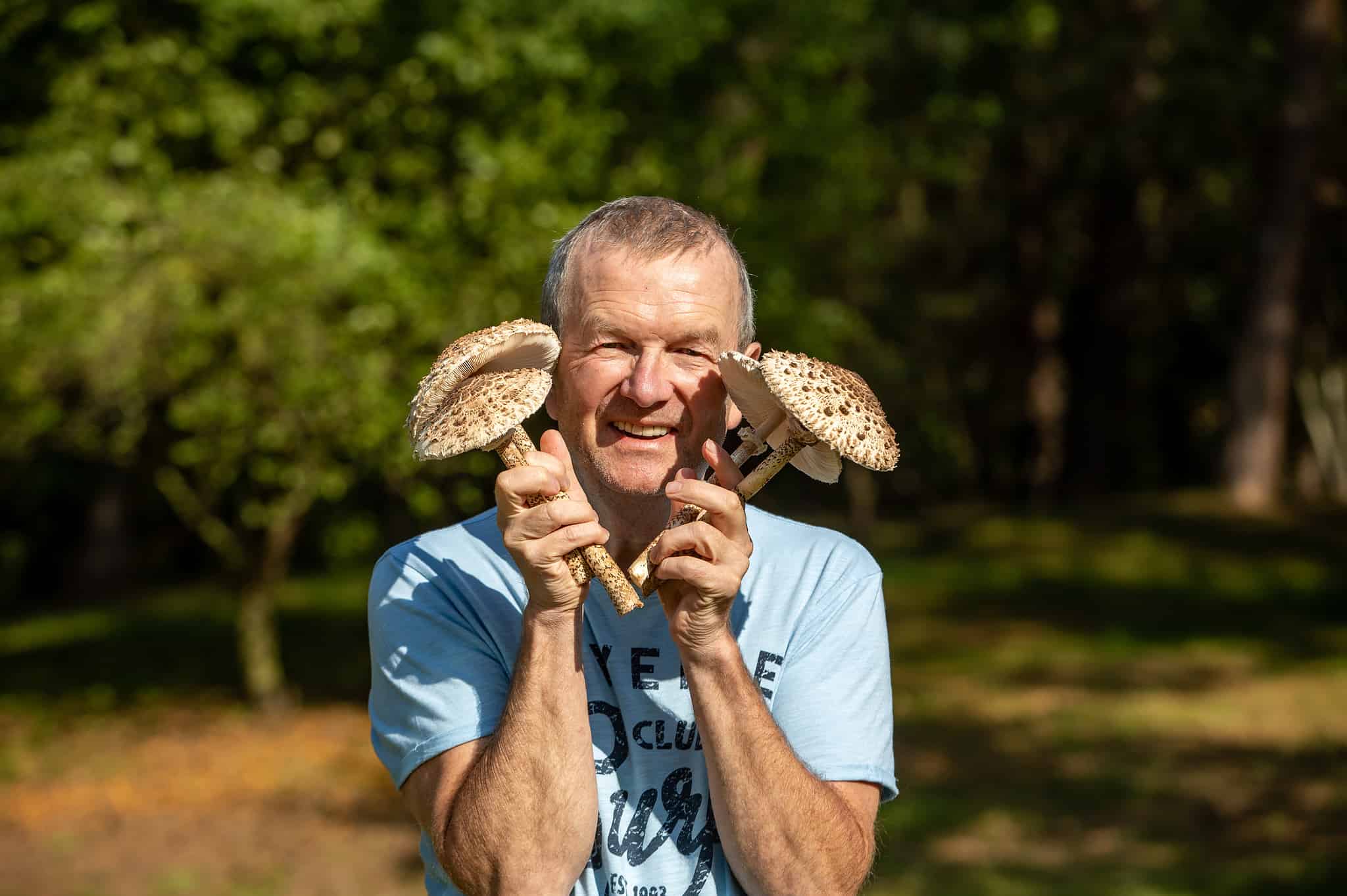Why Are Mushrooms Important To The Food Chain?