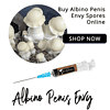Albino Penis Envy Mushrooms: Complete Guide To A Potent Strain